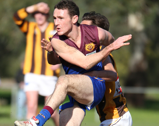 Bears too much for Hawks to handle | Northern Football Netball League
