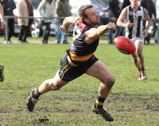 Like the Tigers of old | Northern Football Netball League